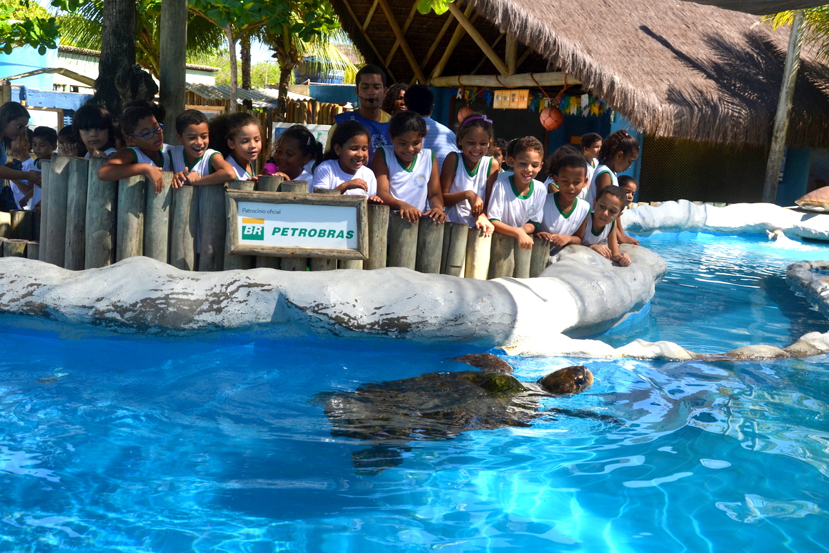 Oceanário funciona em horário especial neste feriadão - O que é notícia ...