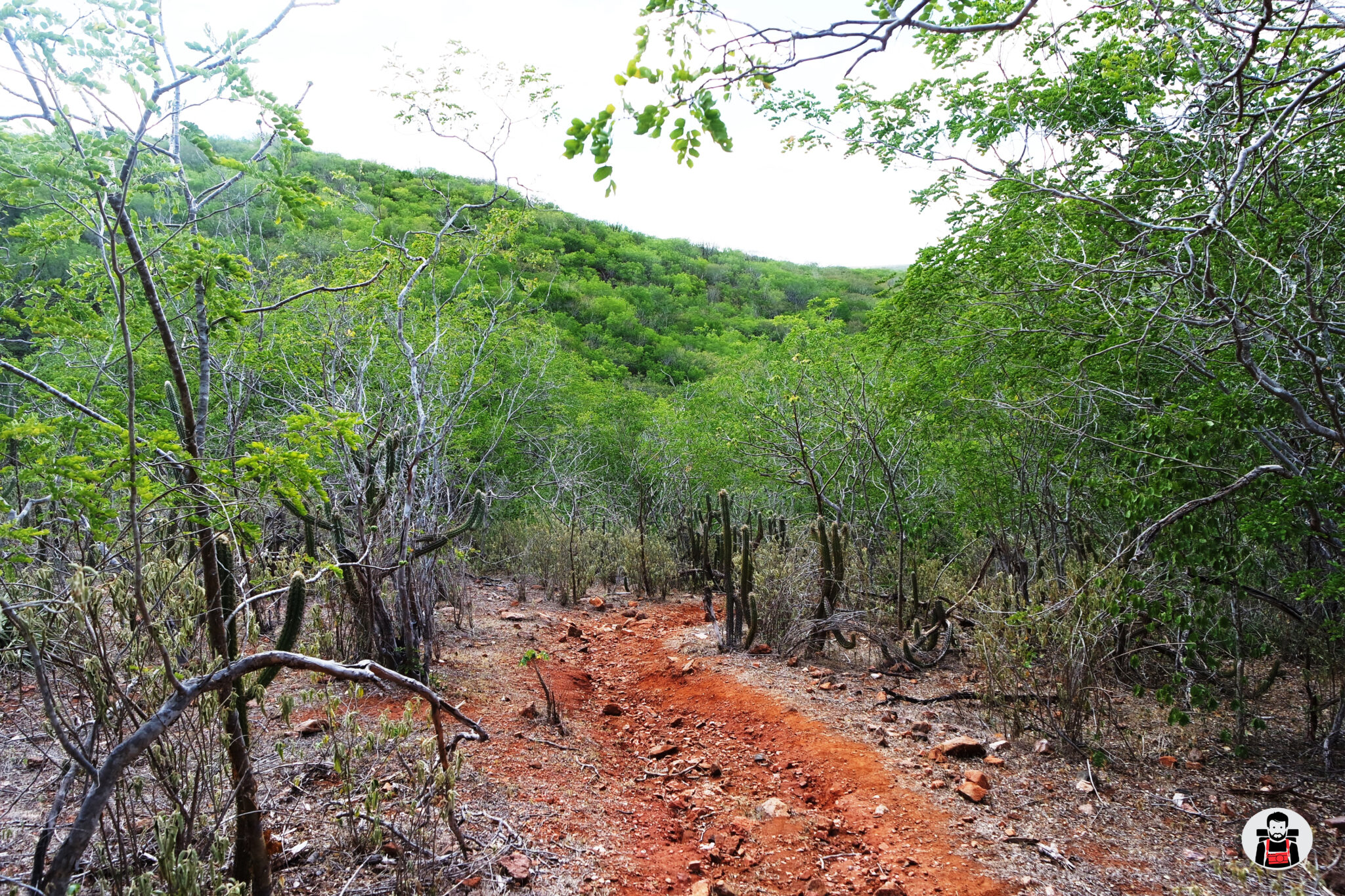 Grota do Angico (SE): Ecoturismo, Cangaço e Velho Chico - O que é ...