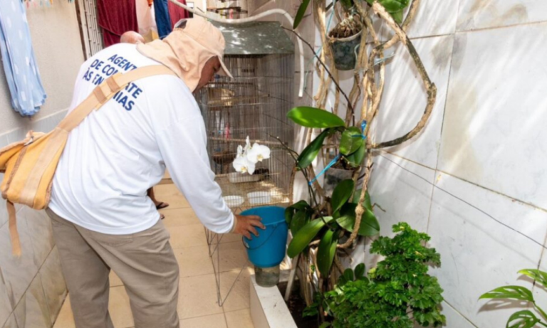 Sete municípios sergipanos têm alto índice de infestação do Aedes ...