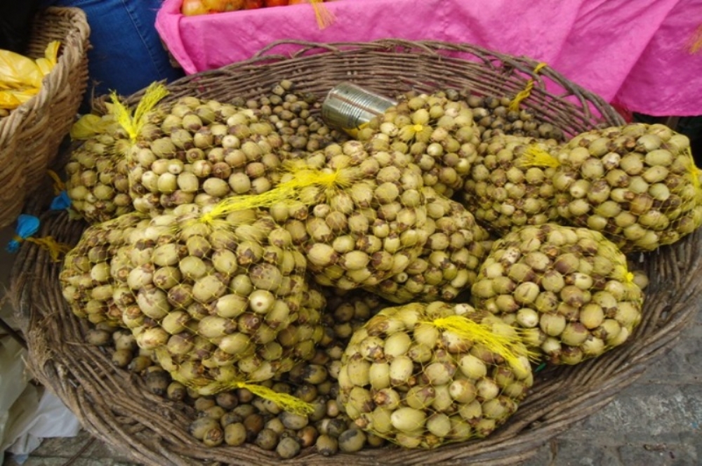 Canindé do São Francisco (SE): Feira é atração turística - O que é ...