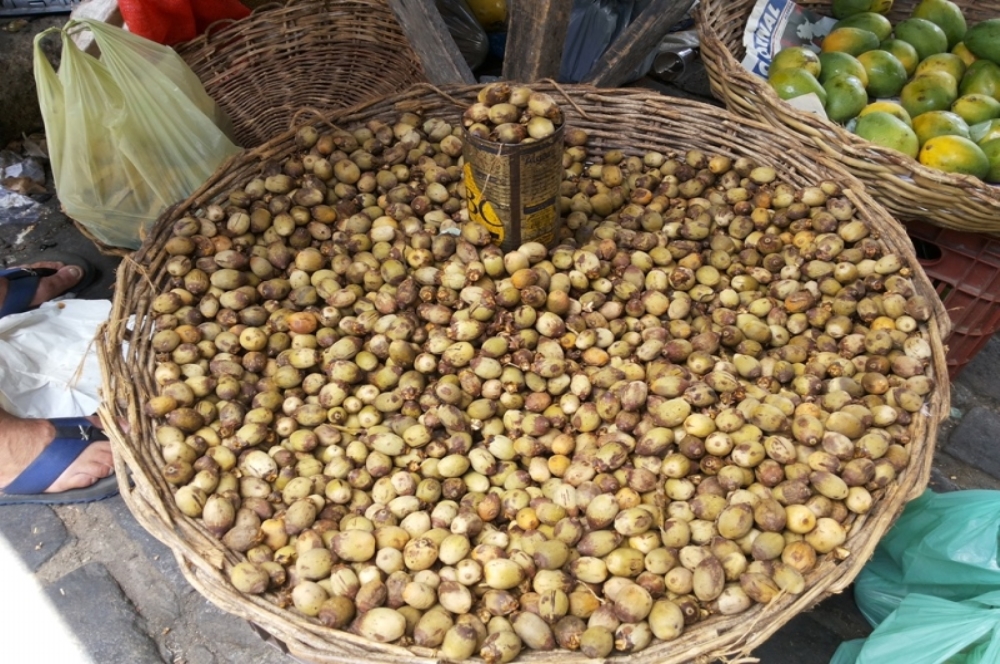 Propriá (SE): Feira tradicional no Baixo São Francisco - O que é ...