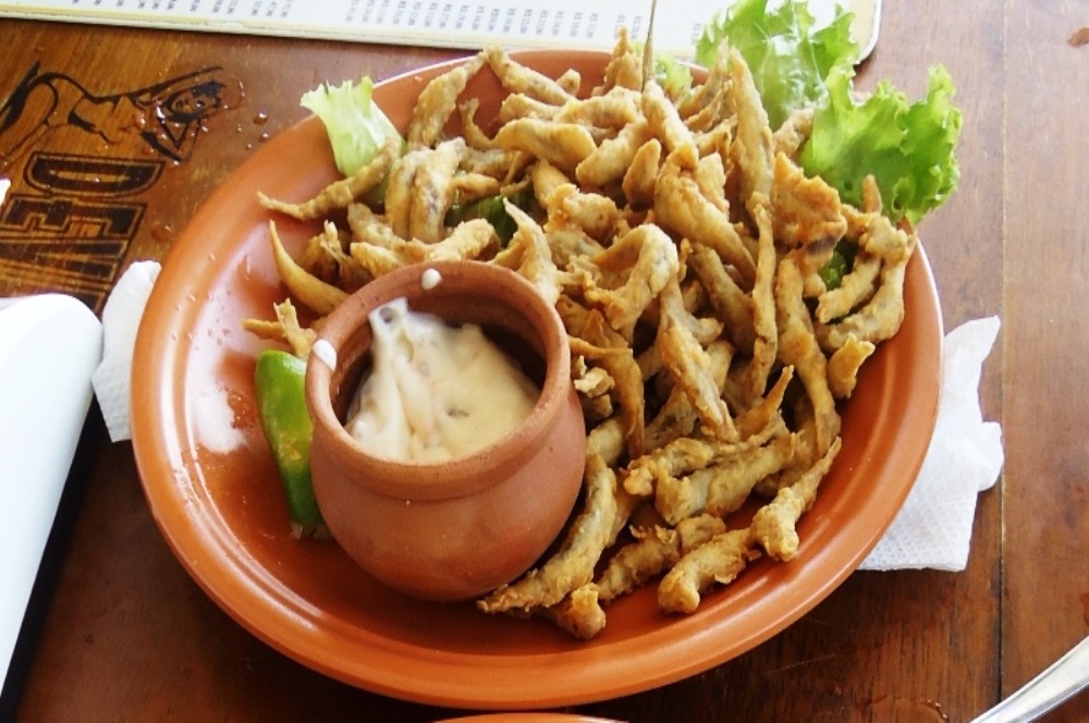 Salvador (BA): Do Bonfim à Boa Viagem - O que é notícia em Sergipe